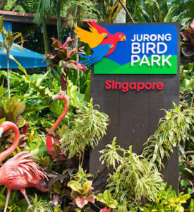 BNB Holidays Pte Ltd - DMC & B2B Travel Agent in Singapore